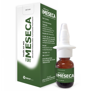 Meseca fort